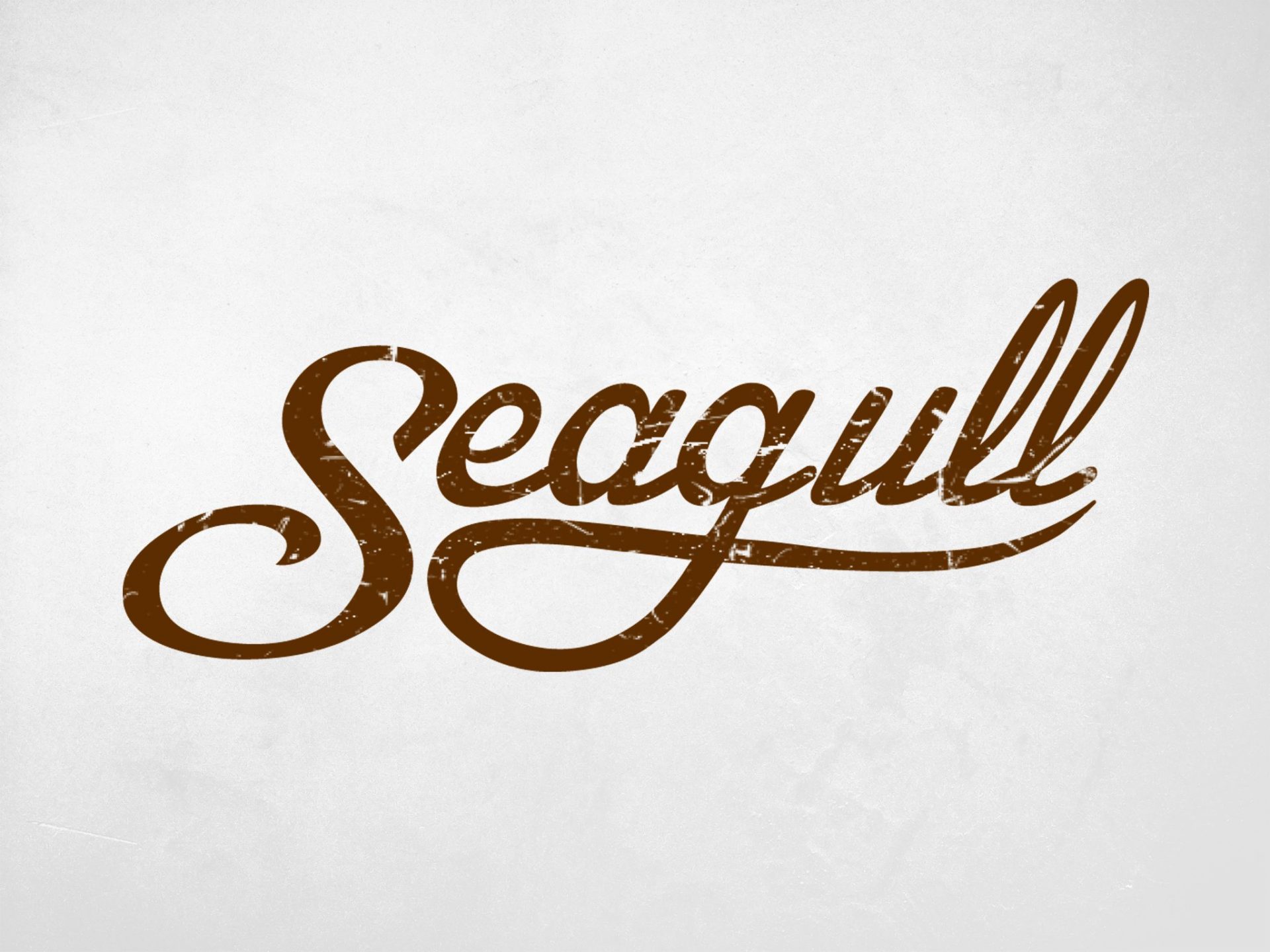 POKA POKA LOGO | SUGI DESIGNS 東京・神奈川のフリーランスWEB＆GRAPHICデザイナー